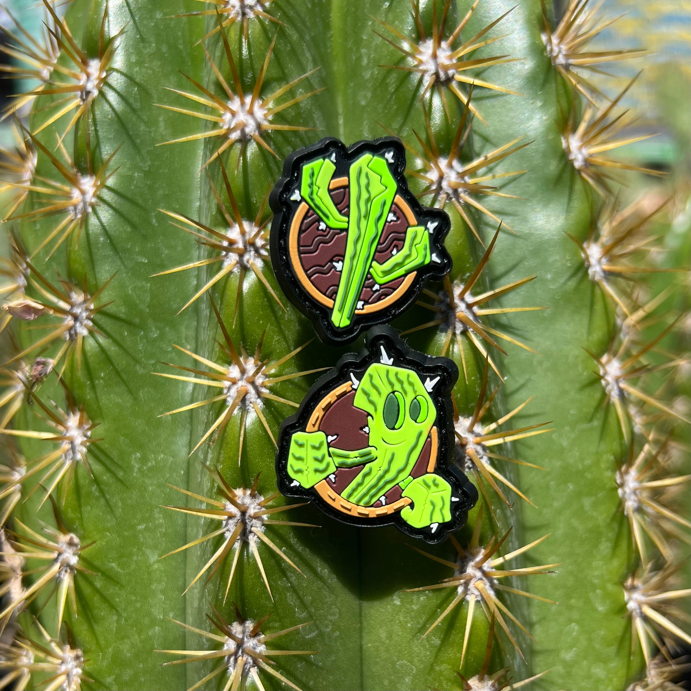 Cactus Ranger Eye Set – Everyday Adventure Co